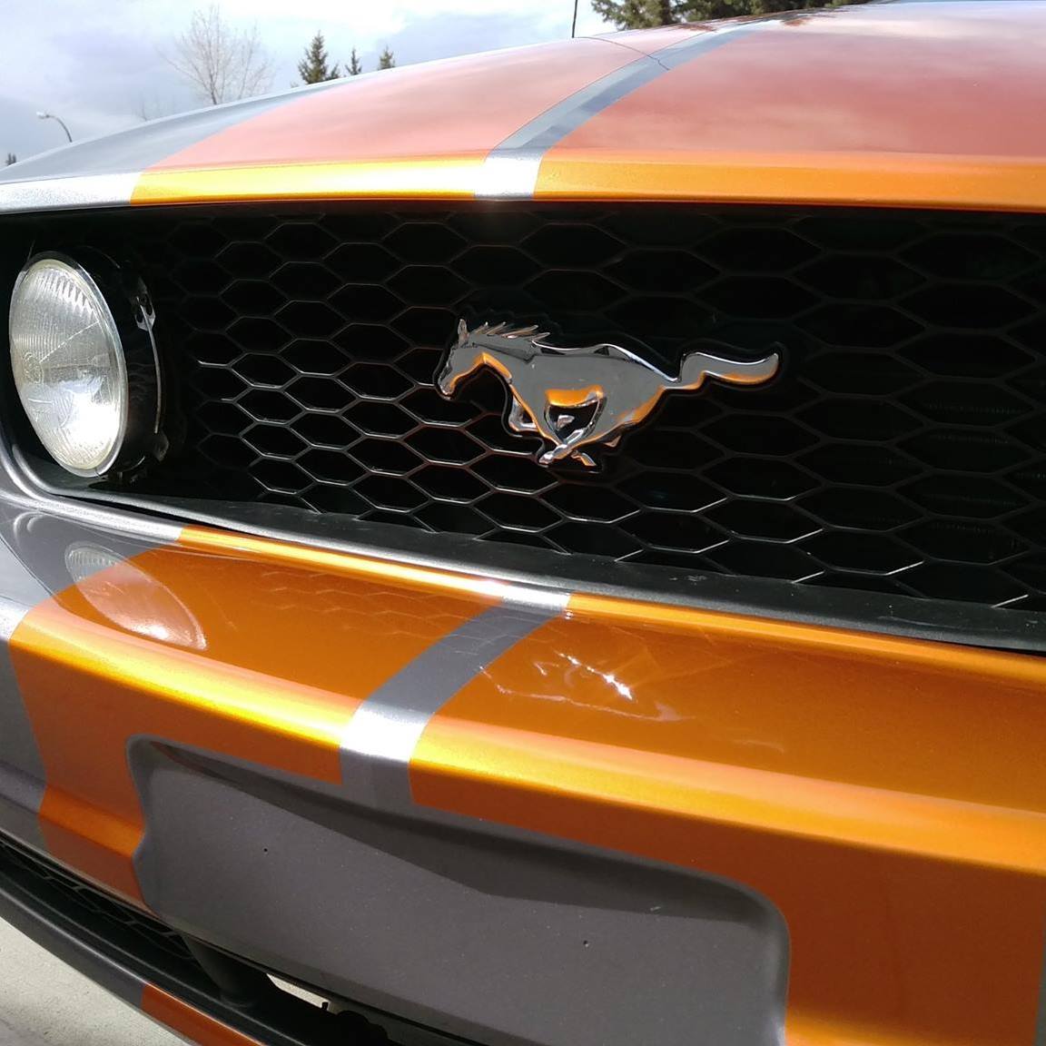 De-Cal Premium Graphics - Red Deer, AB | Alberta Local