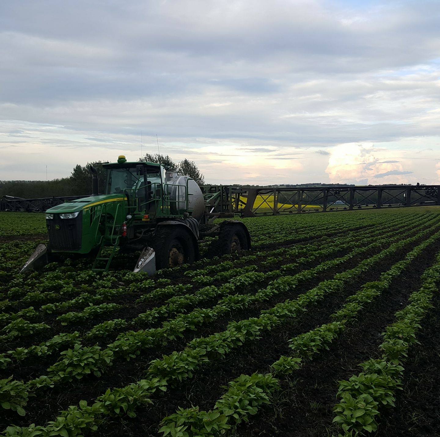 Meinema Custom Farming - Red Deer, AB | Alberta Local