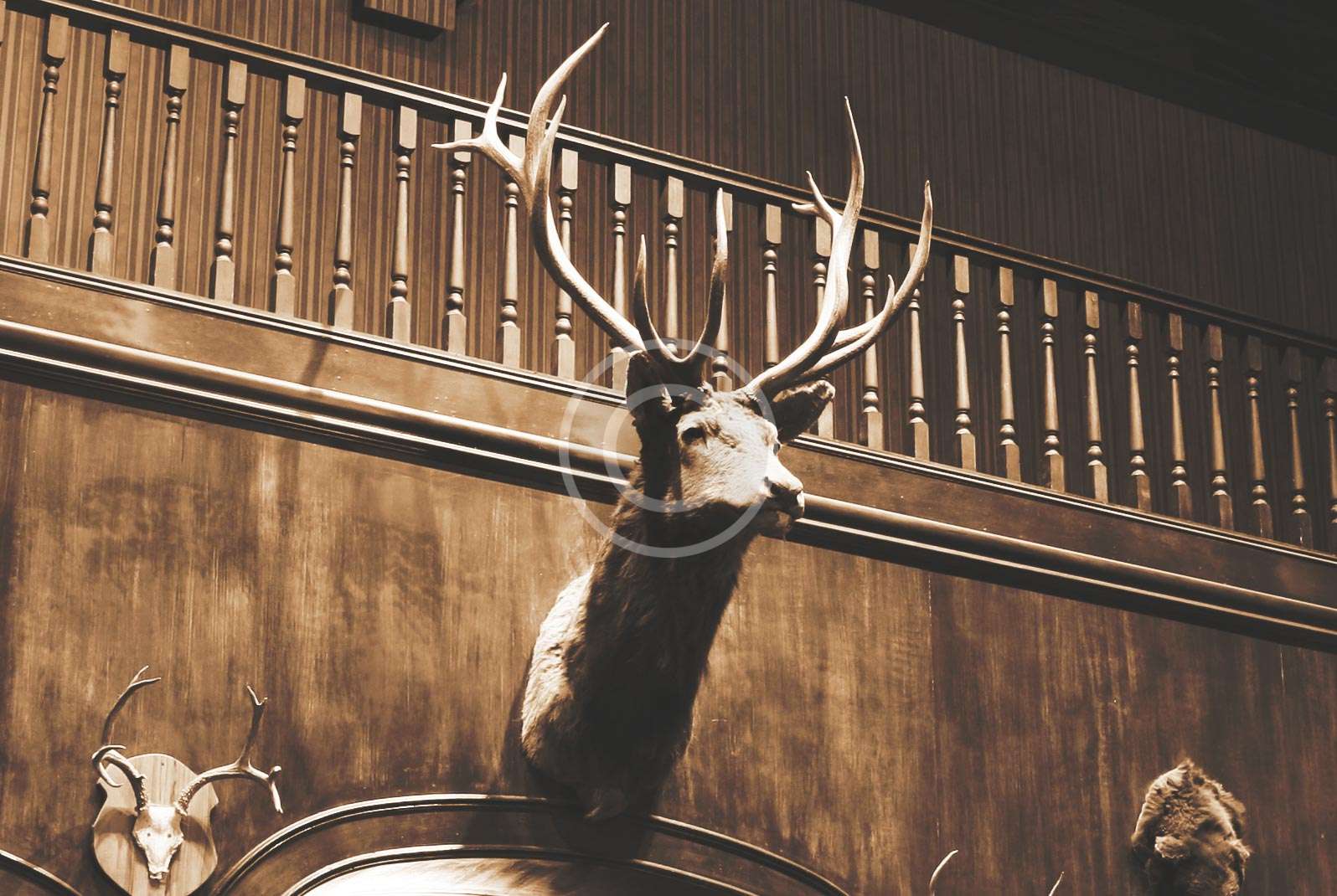 Boomers Pub & Grill - Rocky Mountain House, AB | Alberta Local